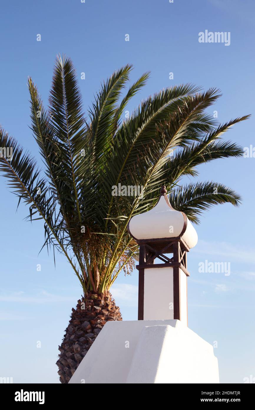 lanzarote, smoke stack, palm, lanzarotes, smoke stacks, palm trees ...