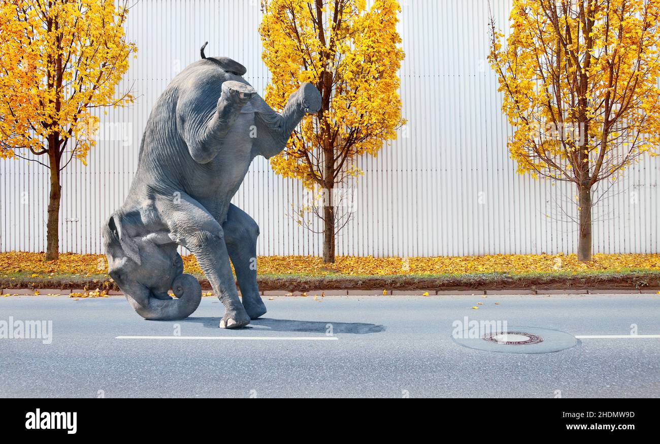 elephant, headstand, elephants, headstands Stock Photo - Alamy