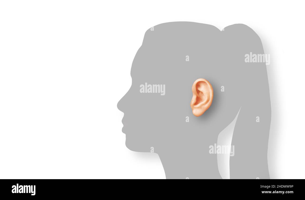 animal ear, acoustics, hearing, animal ears, ear, ears Stock Photo - Alamy
