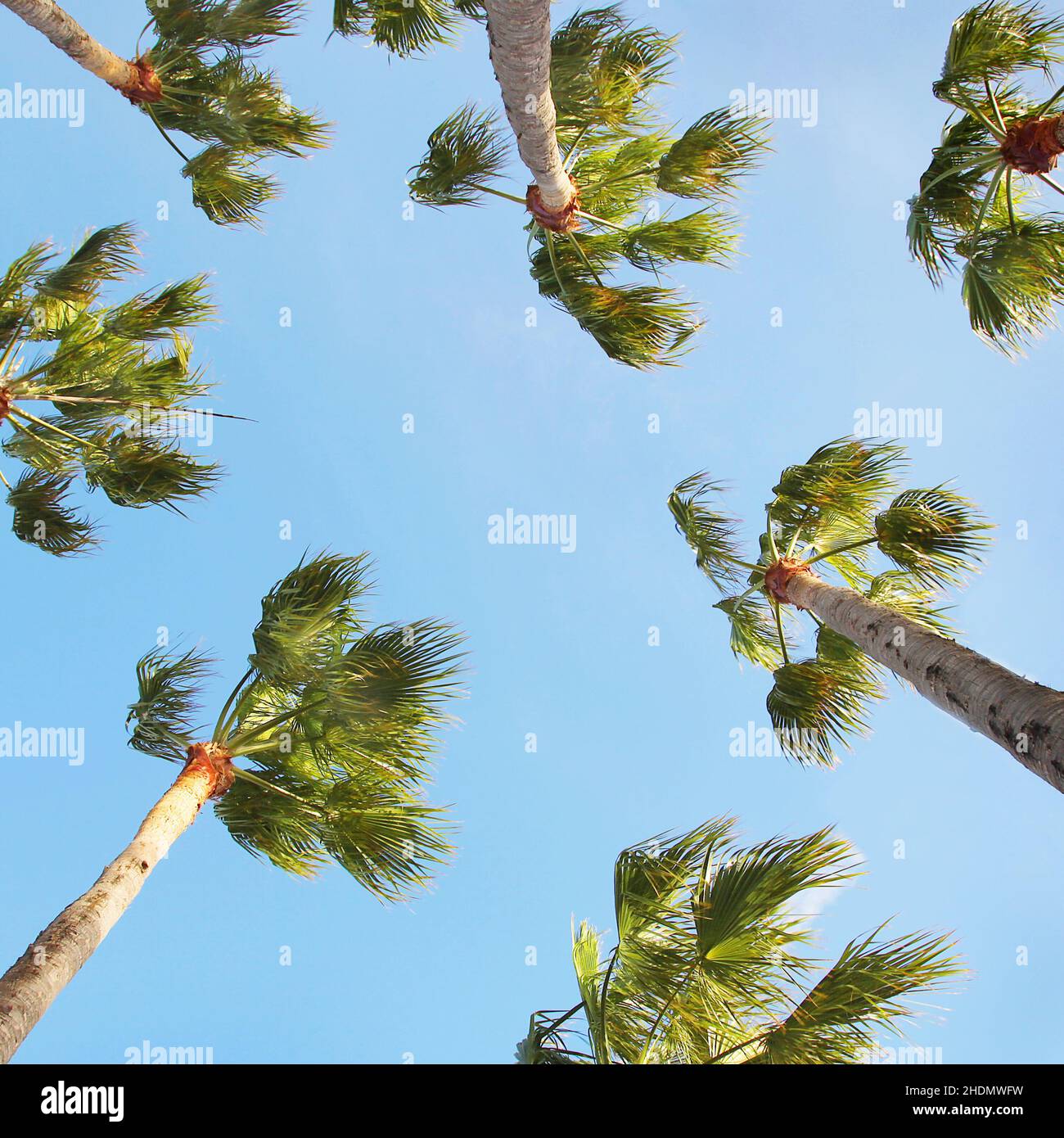 wind, summer, winds, summers Stock Photo - Alamy