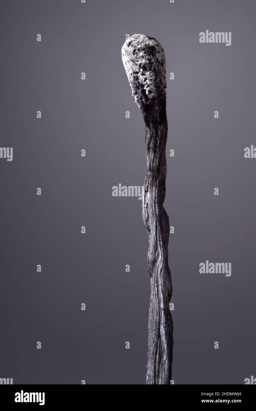 matchstick, burned, matchsticks, burneds Stock Photo - Alamy