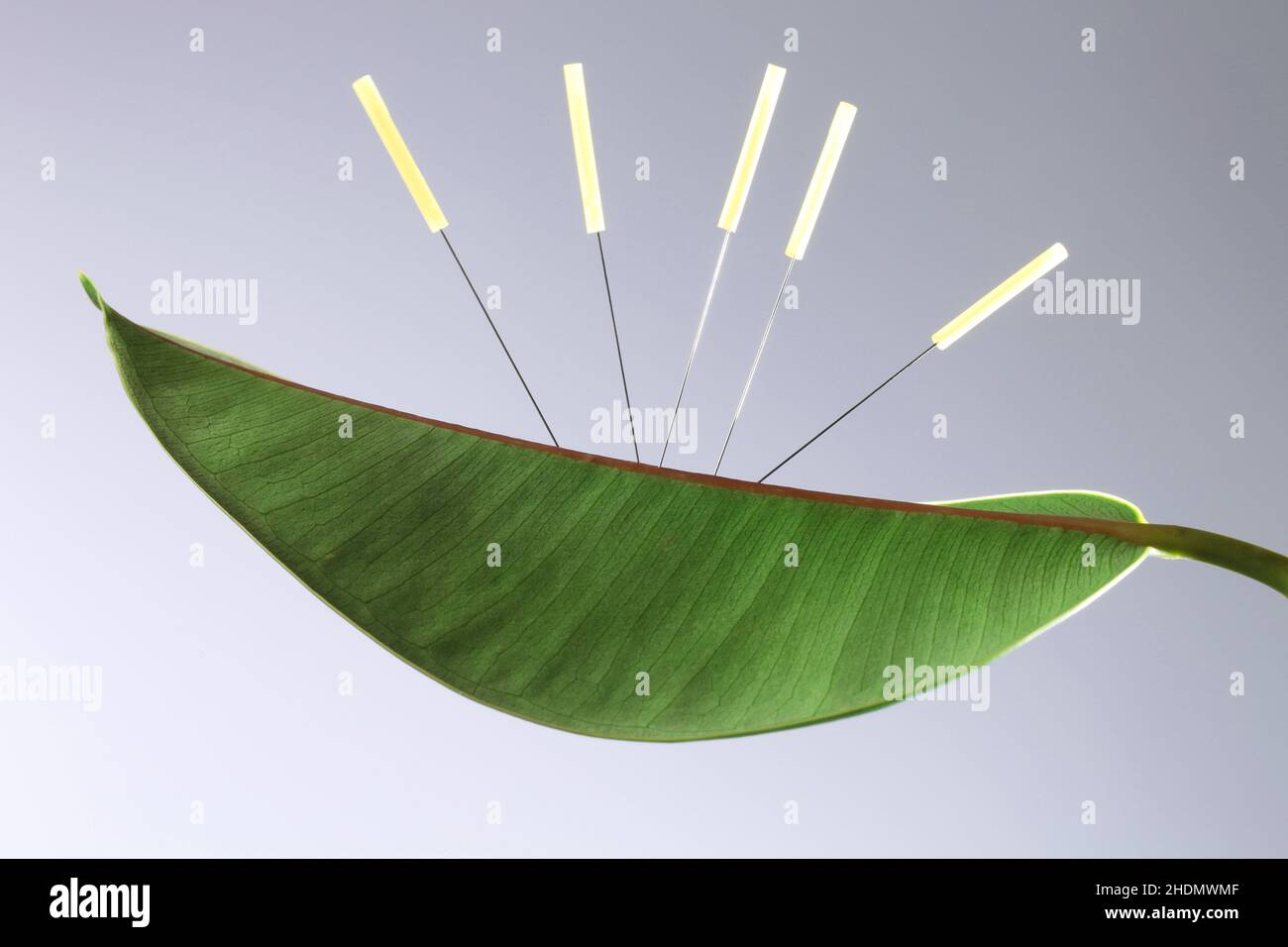 Cure shots hi-res stock photography and images - Alamy