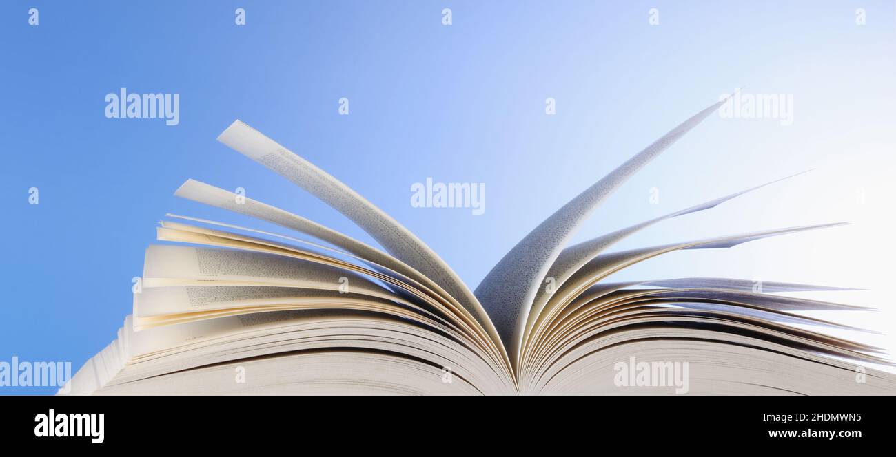 book, open, reading, books, opens, read, reading a book, reading ...