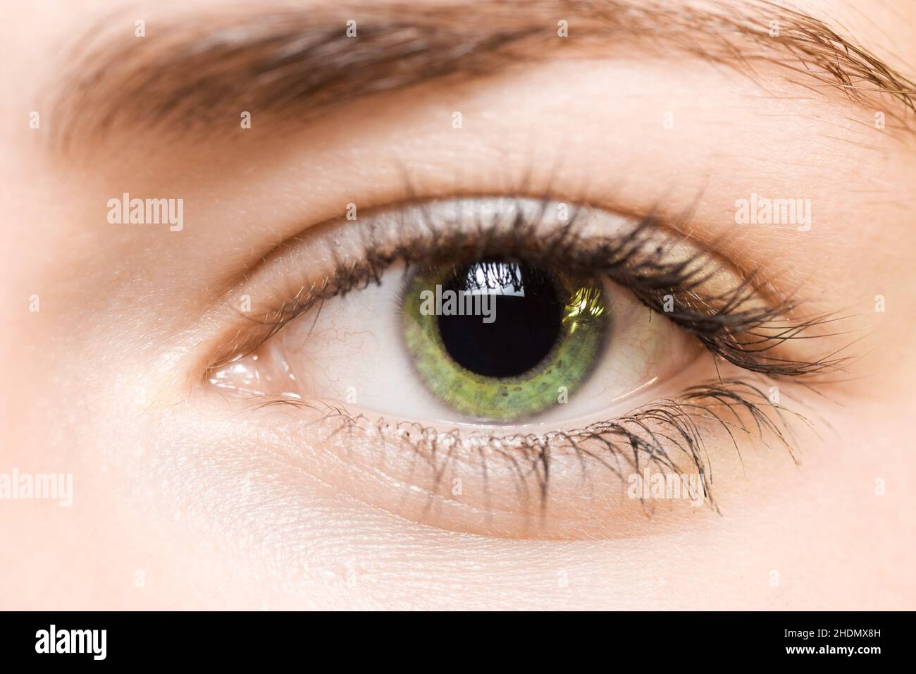 eye, human eye, eyes, human eyes Stock Photo - Alamy