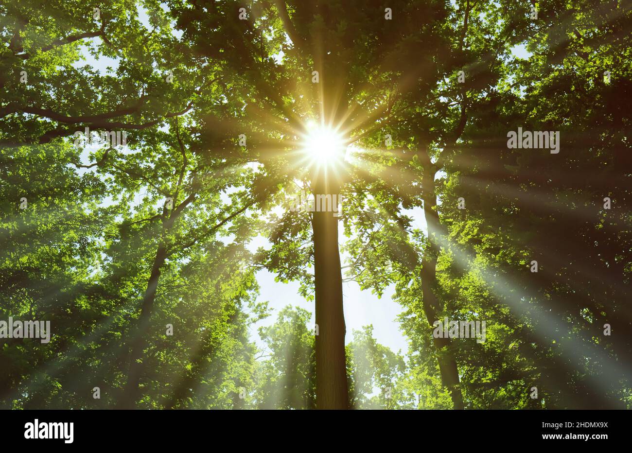 Rays of sunlights hi-res stock photography and images - Alamy