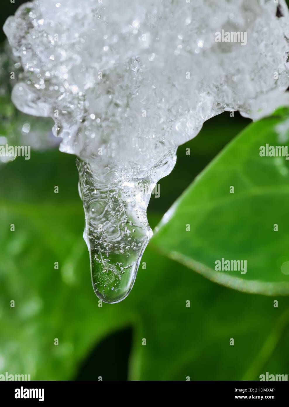 ice, frozen, melting, ices, frozens, thawing Stock Photo - Alamy