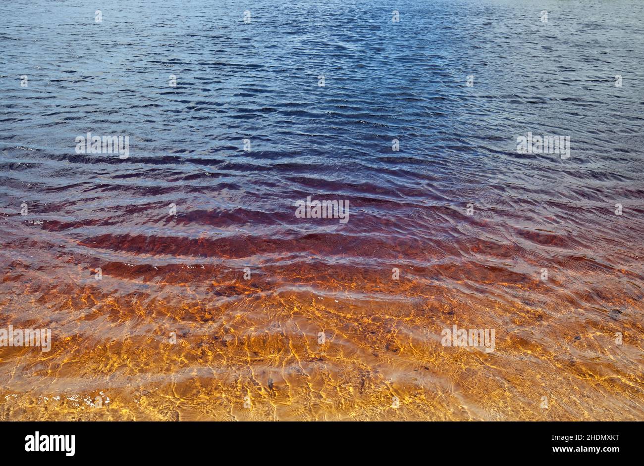 lake, water surface, lakes, water surfaces Stock Photo - Alamy