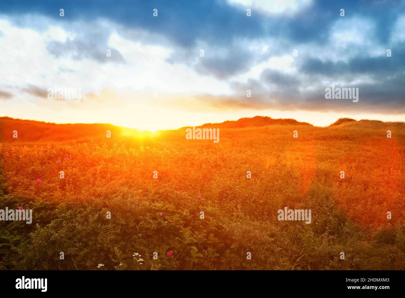 sunset, sunlight, sunsets, sun ray, sun rays, sunbeam, sunbeams ...