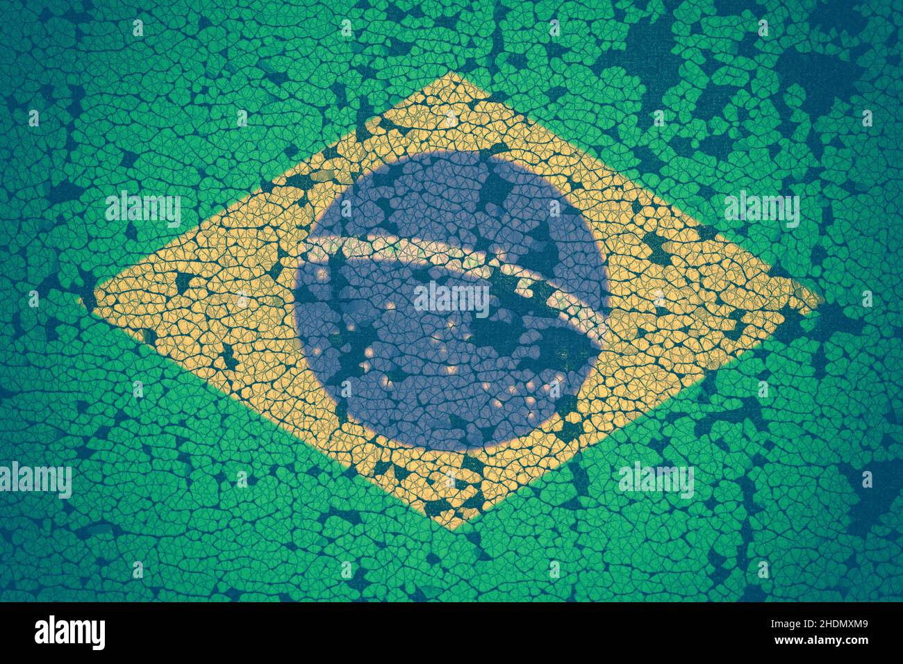 flag, brazil, flags, brazils Stock Photo - Alamy