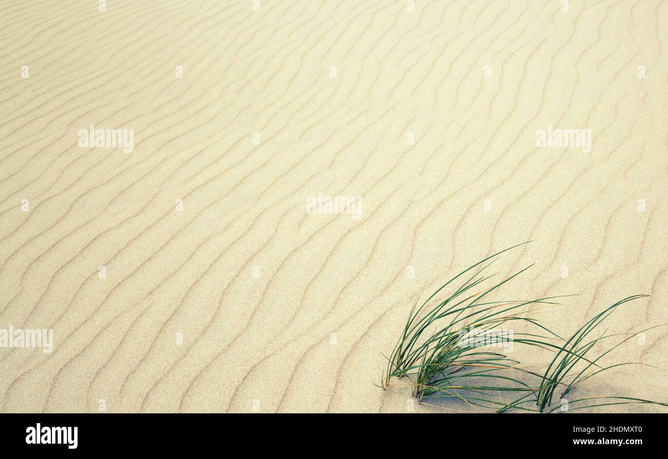 beach, sand, rippled, beaches, seaside, sands, rippleds Stock Photo - Alamy