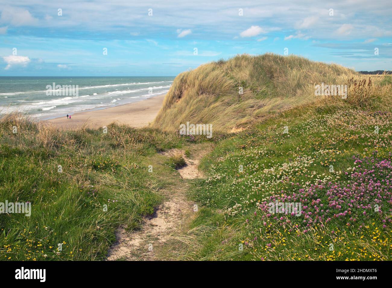 coast, beach coast path, coasts, coast paths Stock Photo - Alamy
