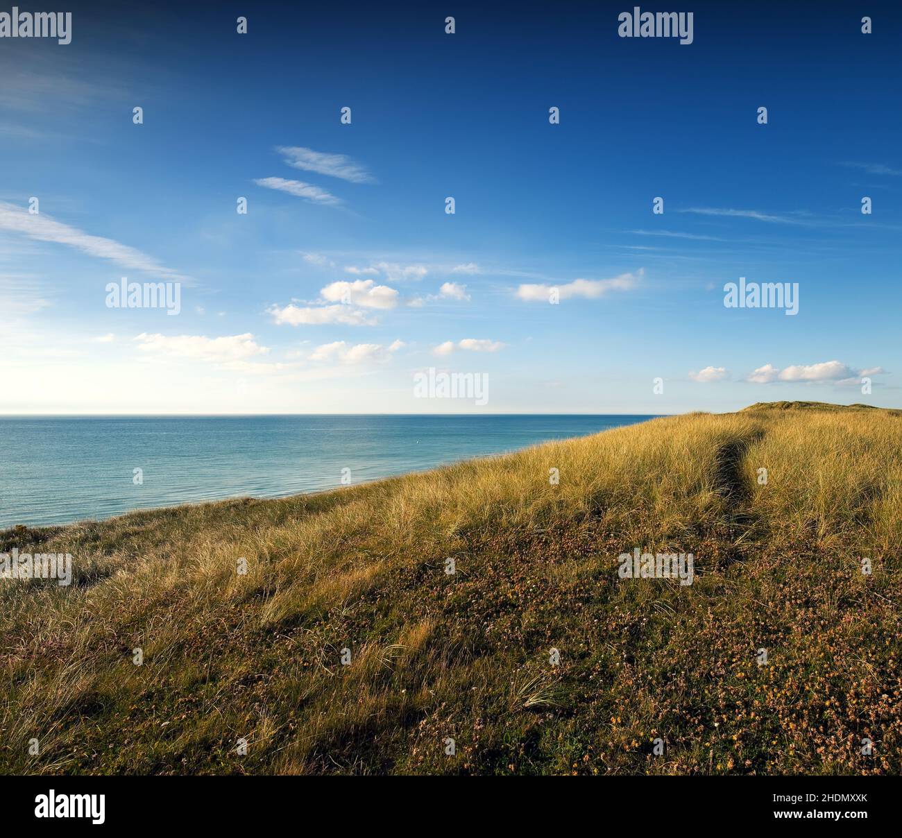 Jutlands sea hi-res stock photography and images - Alamy