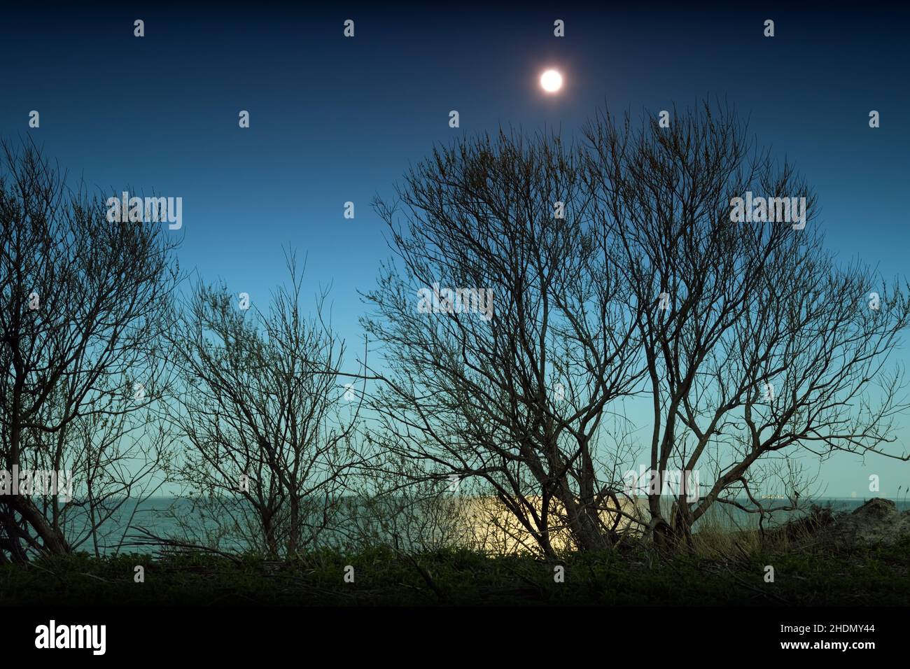 twilight, blue hour, full moon, twilights, blue hours, full moons Stock ...
