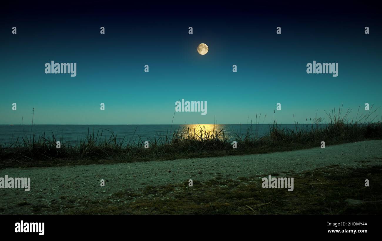 Moonlight lake shore night hi-res stock photography and images - Alamy