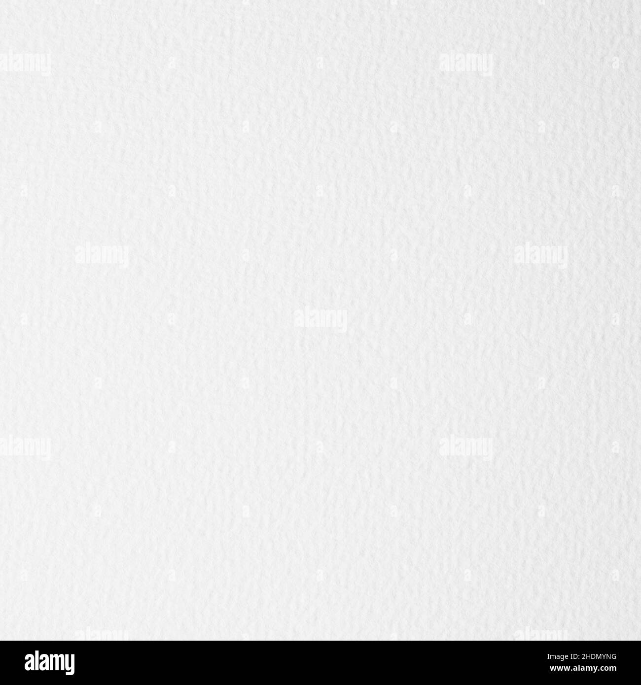 paper, deckle edged paper, papers, deckle edged papers, hand-made paper ...