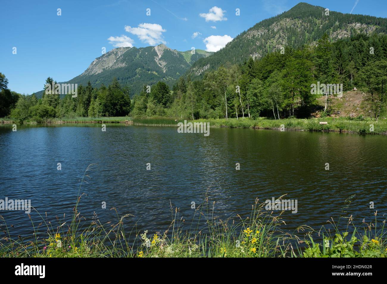 lake, allgau, oberstdorf, Moorweiher, lakes, allgaus, oberstdorfs Stock ...