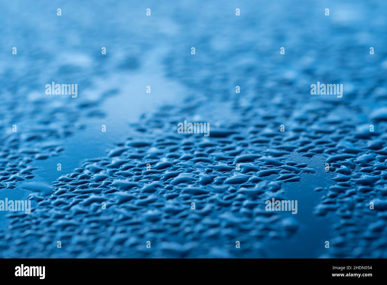 wet, blue, water resistant, damp, wetness, wets, blues, water ...