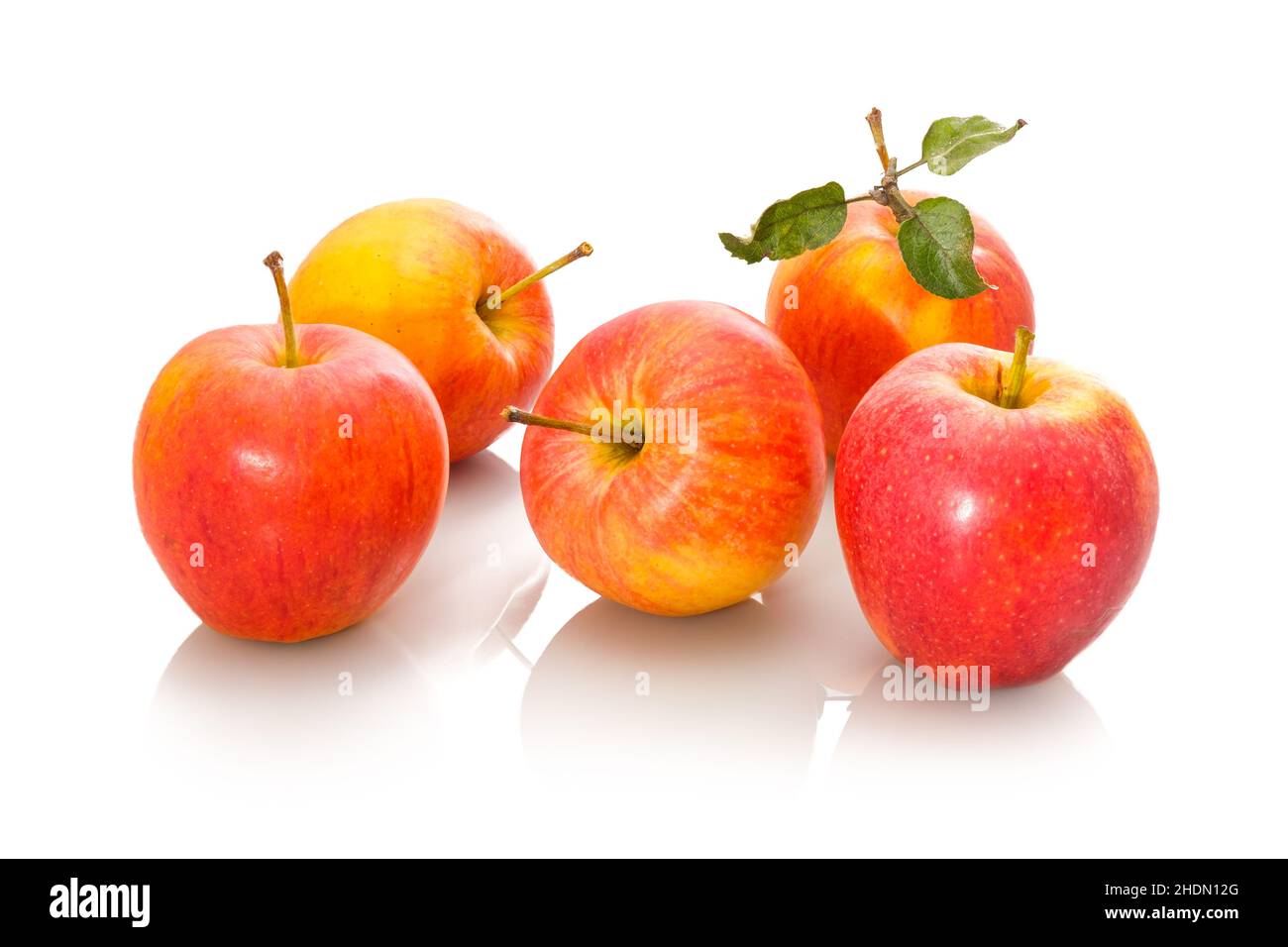 Variety elstar hi-res stock photography and images - Alamy