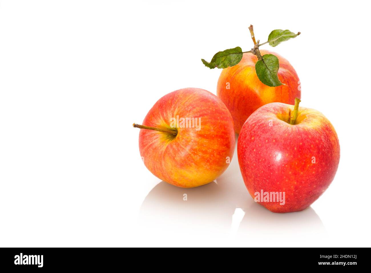 Variety elstar hi-res stock photography and images - Alamy