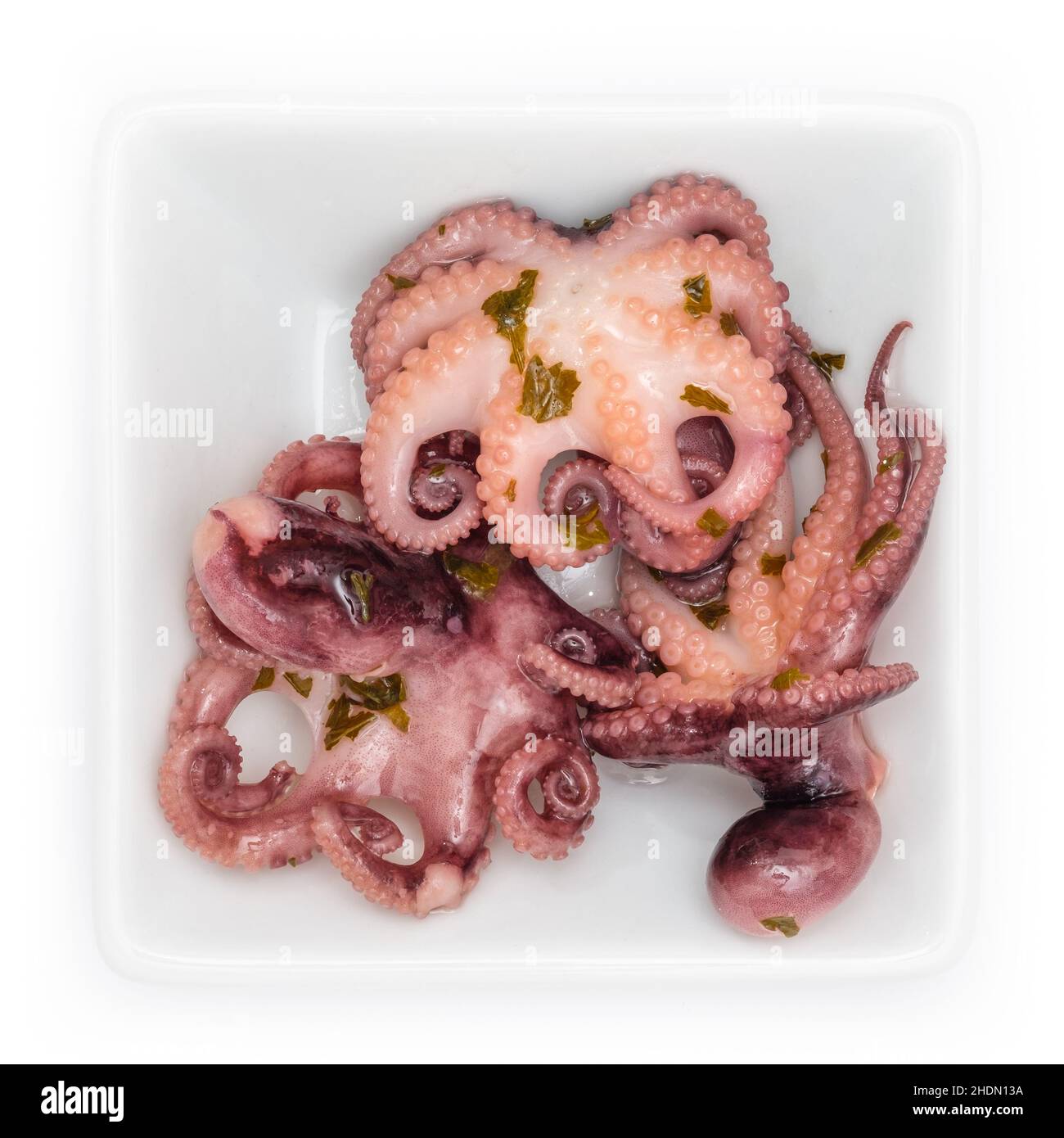 Moscardini hi-res stock photography and images - Alamy