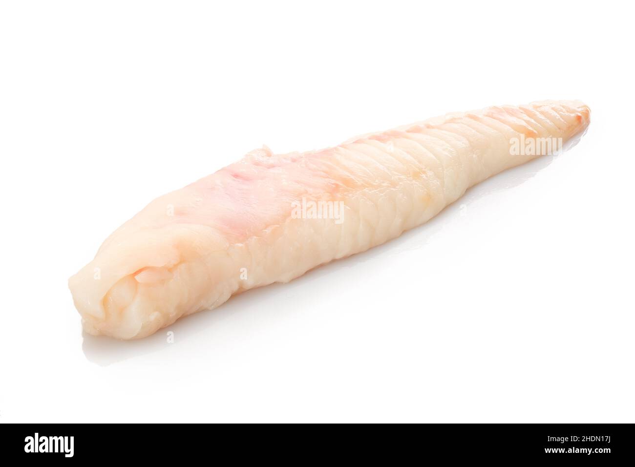 Devil angler Cut Out Stock Images & Pictures - Alamy