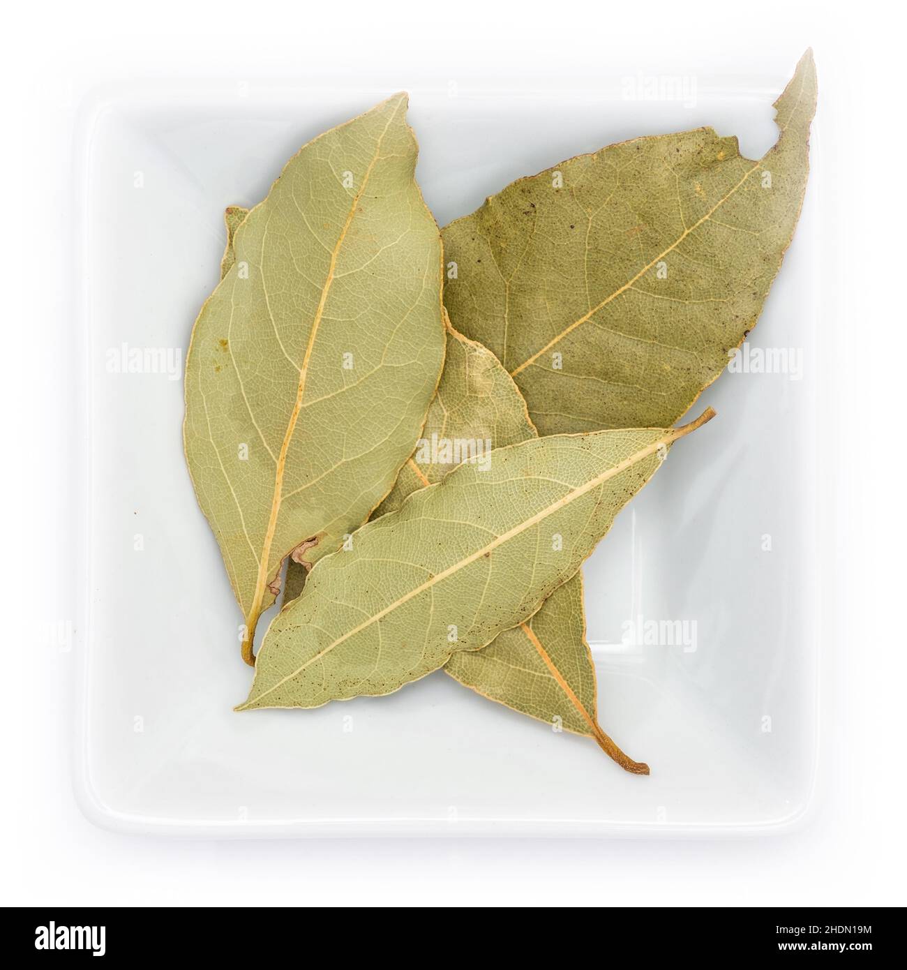 bay tree, bay trees Stock Photo - Alamy