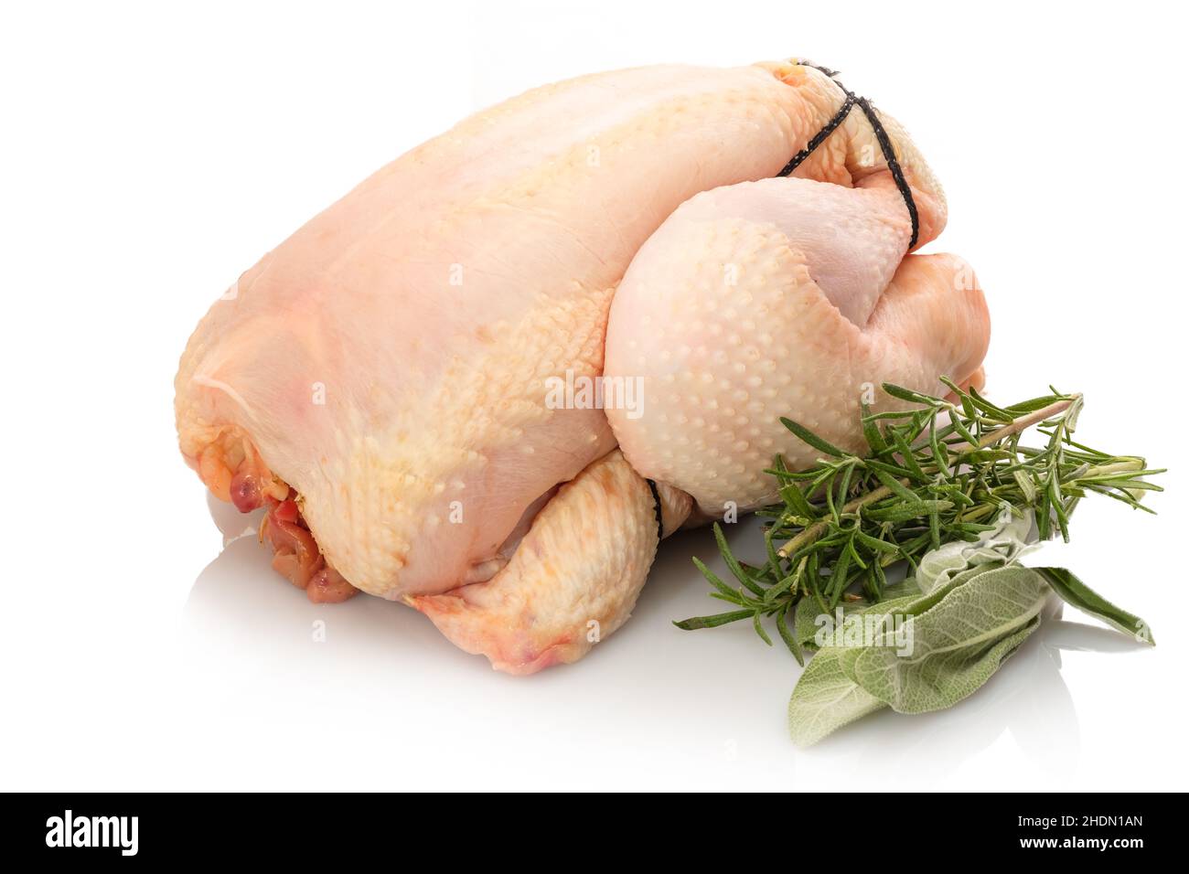 Sage chickens hi-res stock photography and images - Alamy