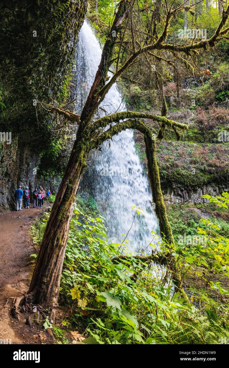 Middle North Falls; Silver Falls State Park; Oregon; USA Stock Photo ...