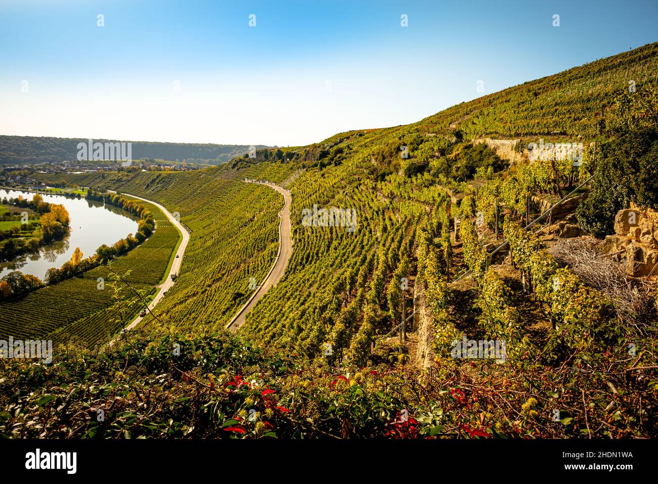 vineyard, wine-growing region, wine slope, vineyards, wine-growing ...