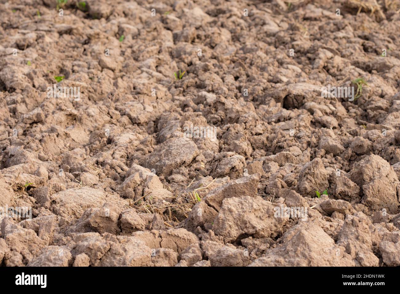 arable, earth, arables, earths Stock Photo - Alamy