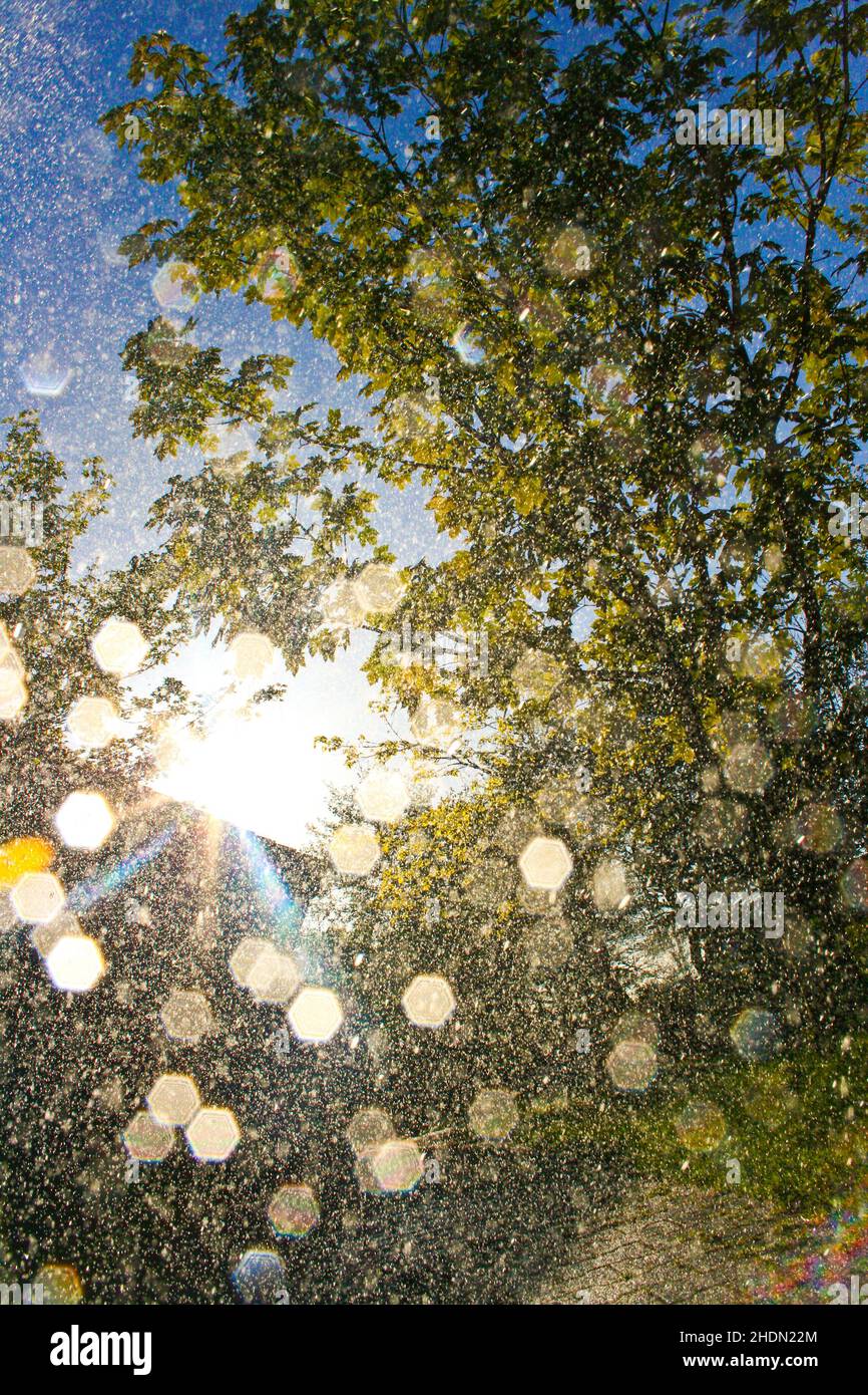 sunlight, waterdrop, spot, sun ray, sun rays, sunbeam, sunbeams ...