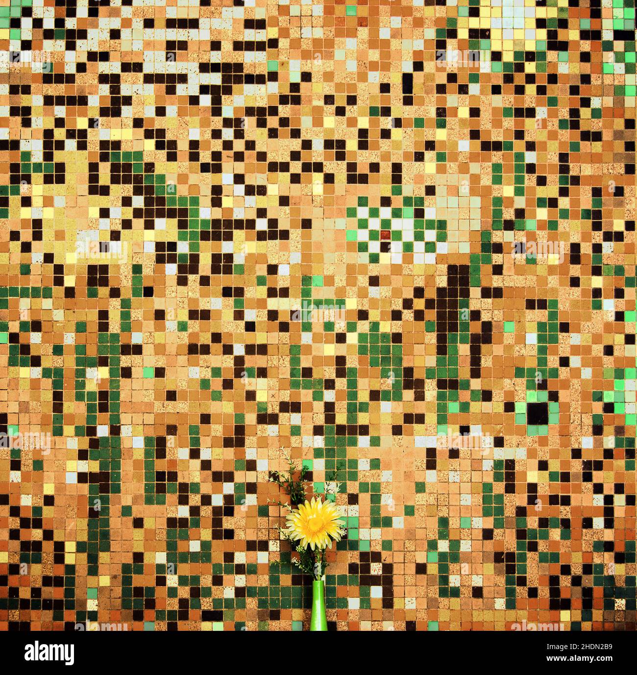 colors & shapes, dandelion, urban, mosaic, colors and shapes ...