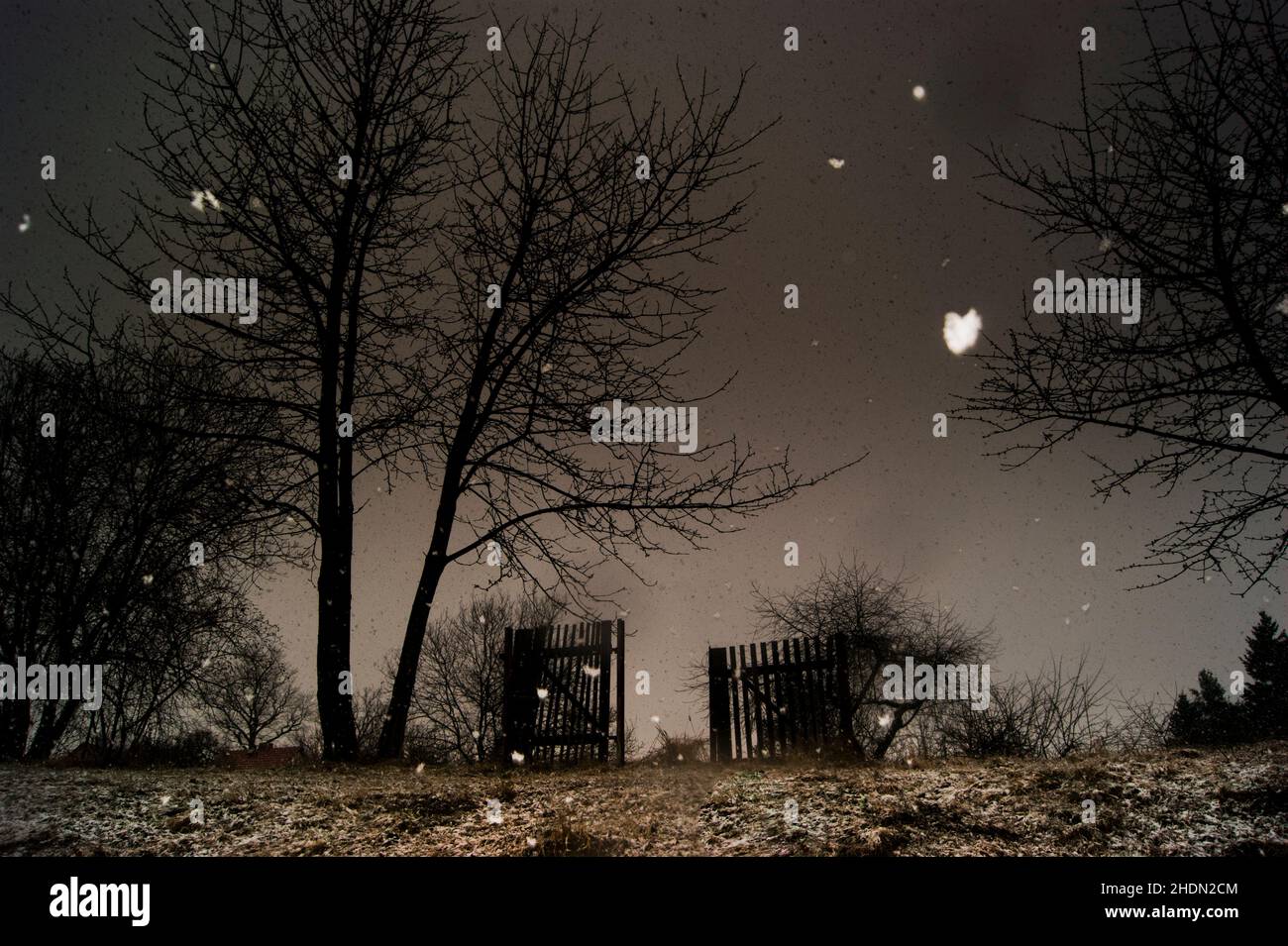 gate, darkness, mysterious, mystical, gates, esoteric, mystic ...