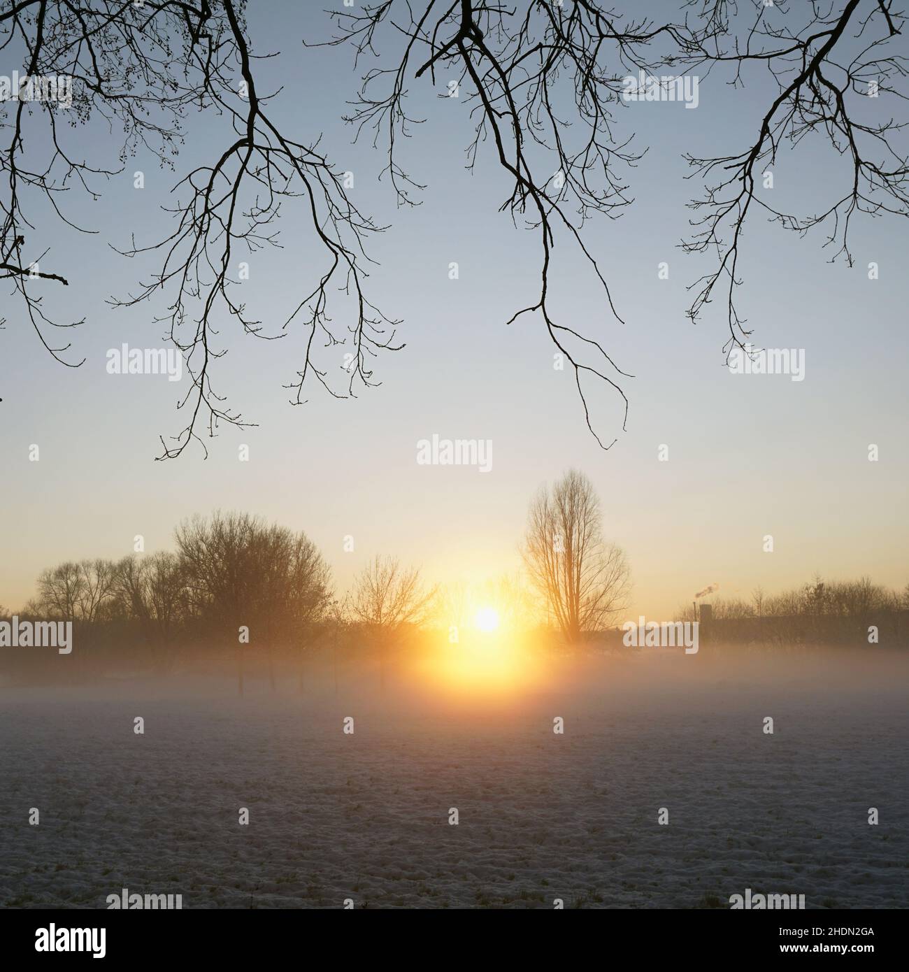 sunlight, field, winter, fog, sun ray, sun rays, sunbeam, sunbeams ...