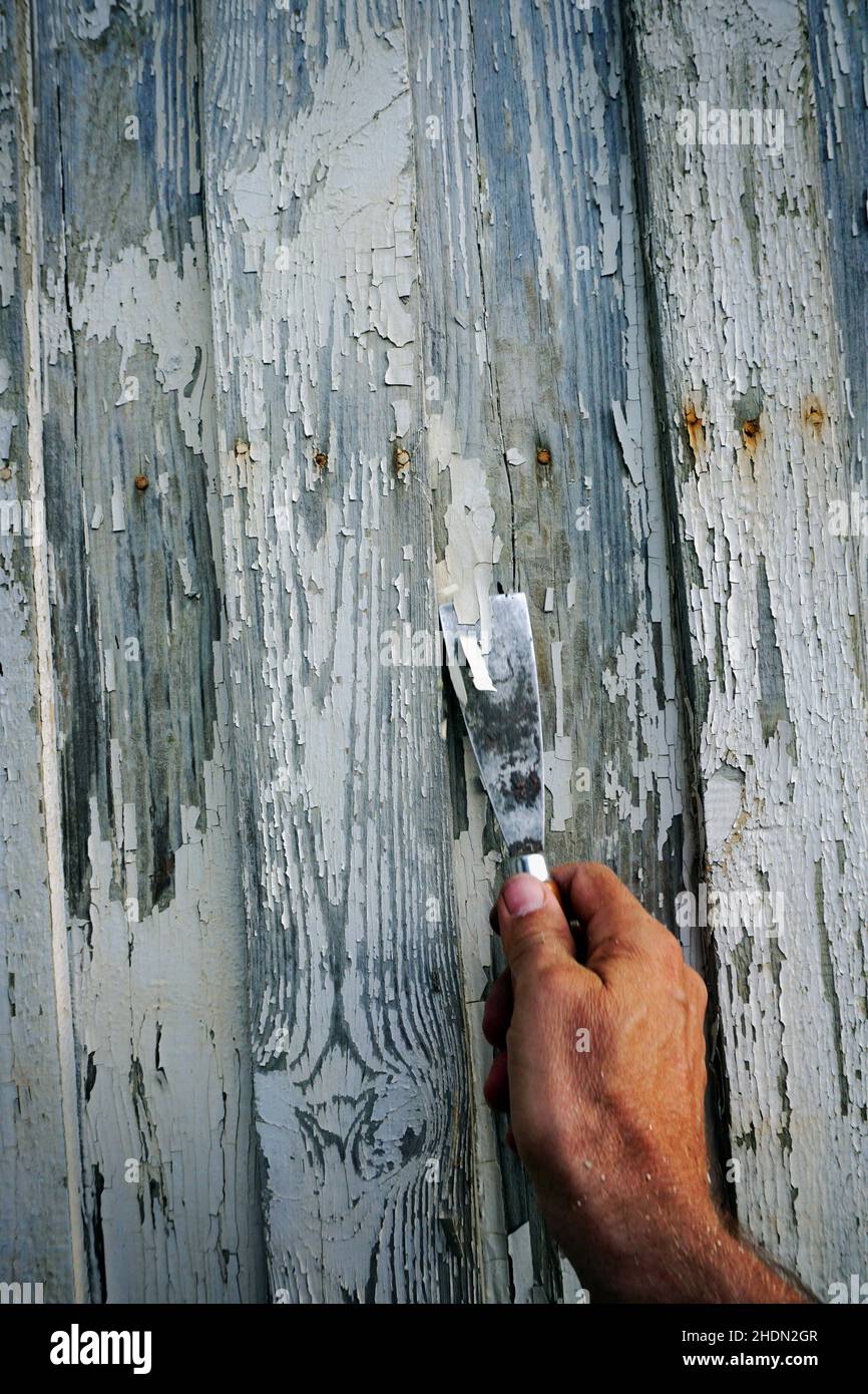 Leftover body part hi-res stock photography and images - Alamy