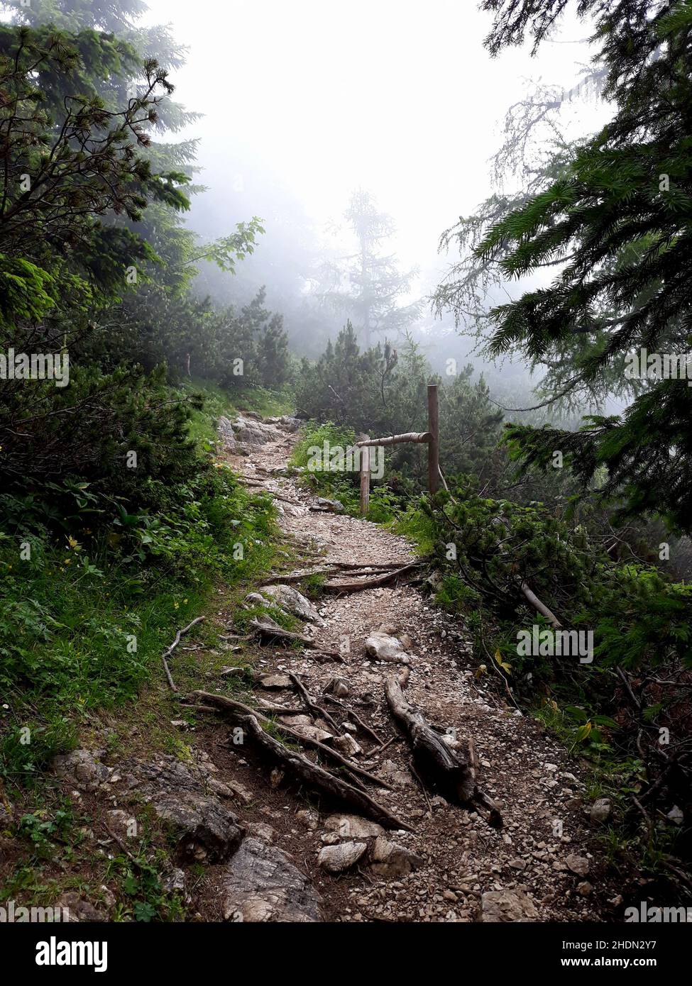 trail, hochobir, trails, hochobirs Stock Photo - Alamy