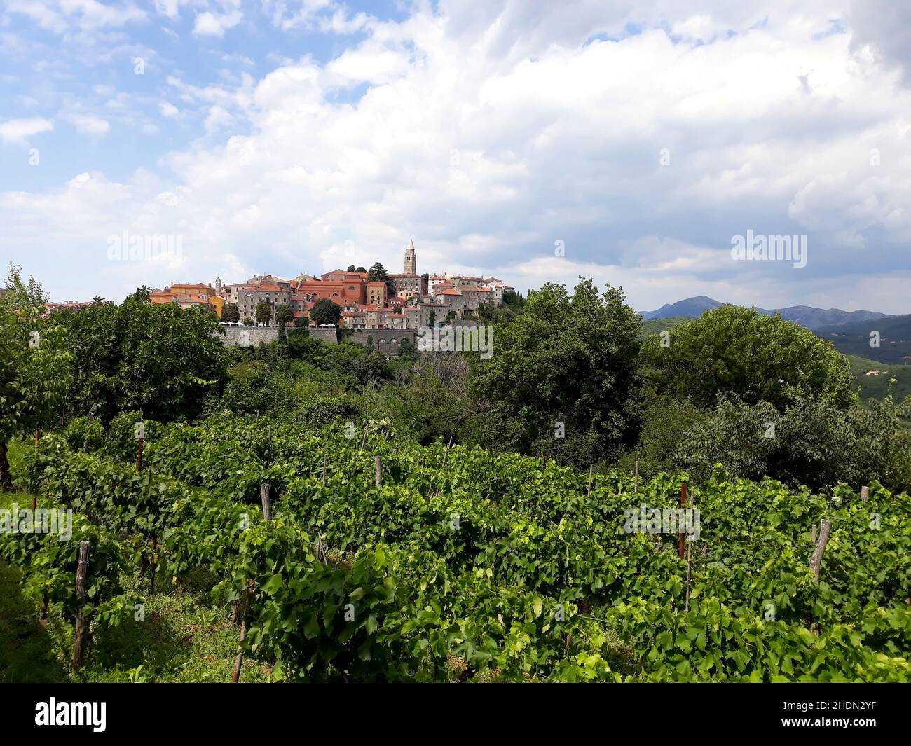 Istria region hi-res stock photography and images - Alamy