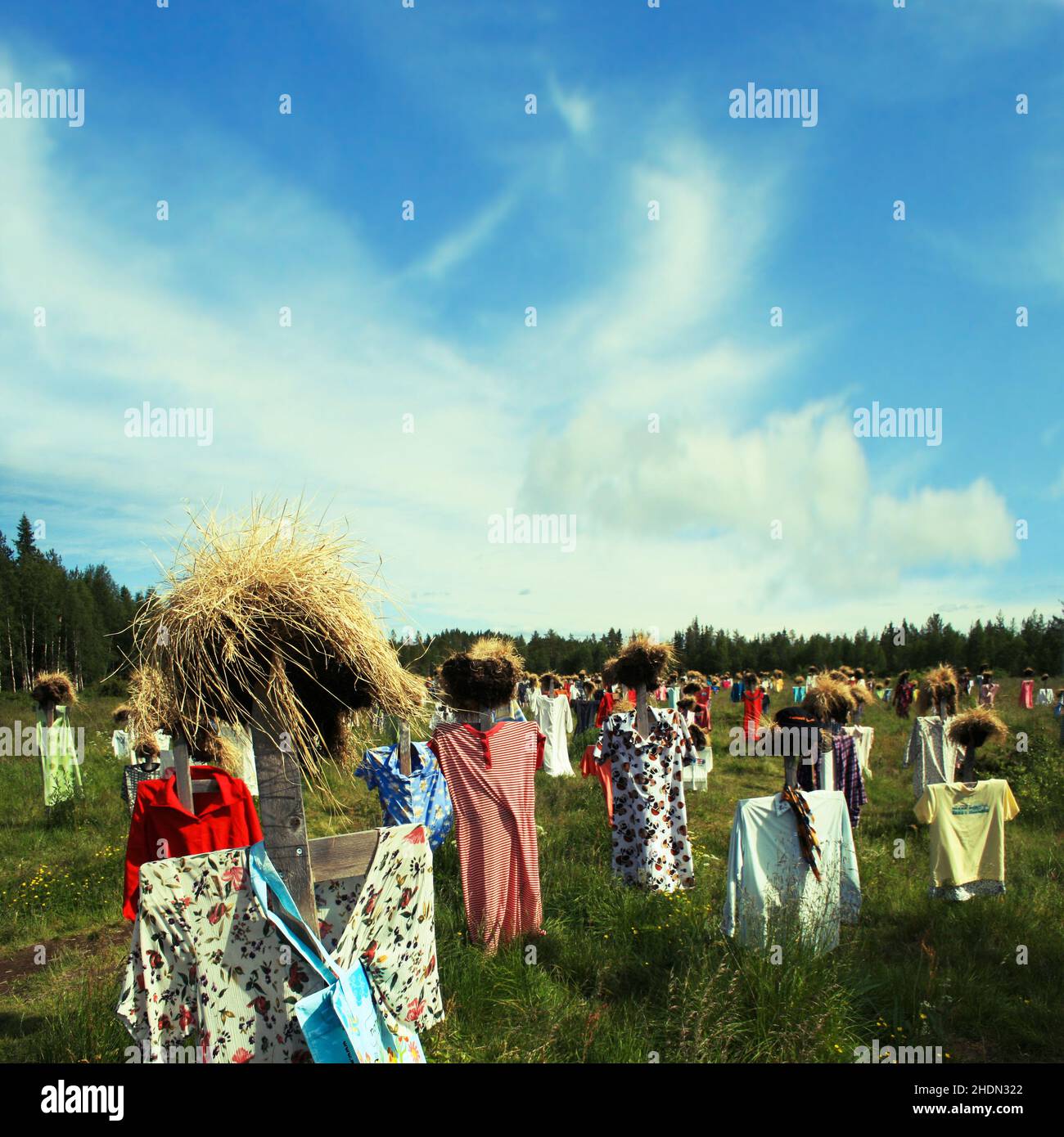 Many scarecrows at field hi-res stock photography and images - Alamy