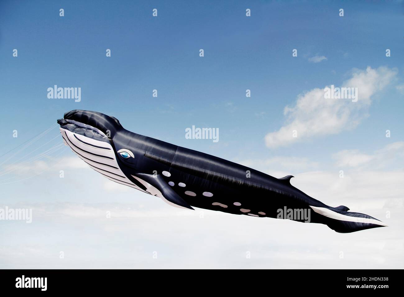 balloon, surreal, blue whale, balloons, surreals Stock Photo - Alamy