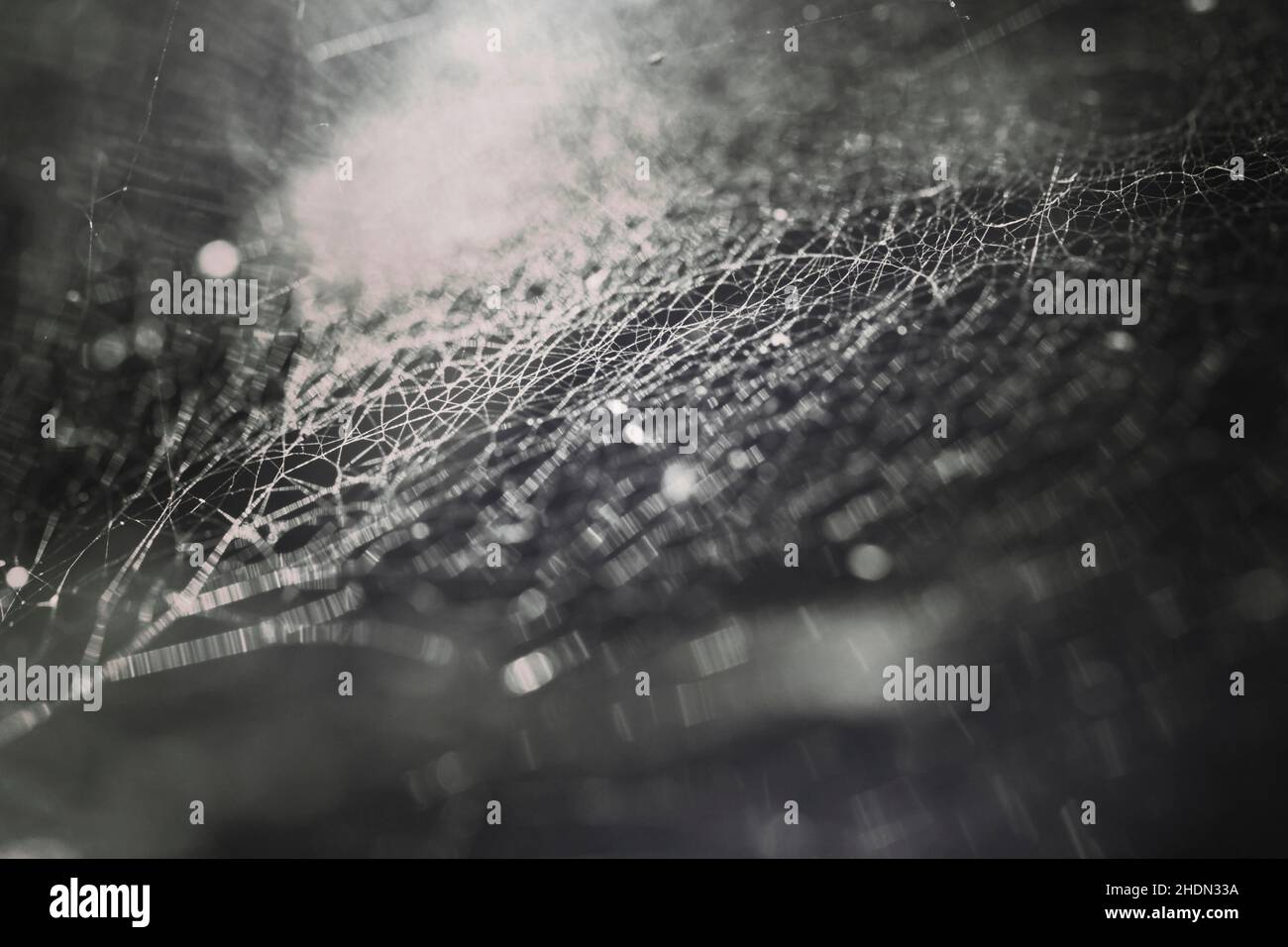 Filigree pattern hi-res stock photography and images - Alamy