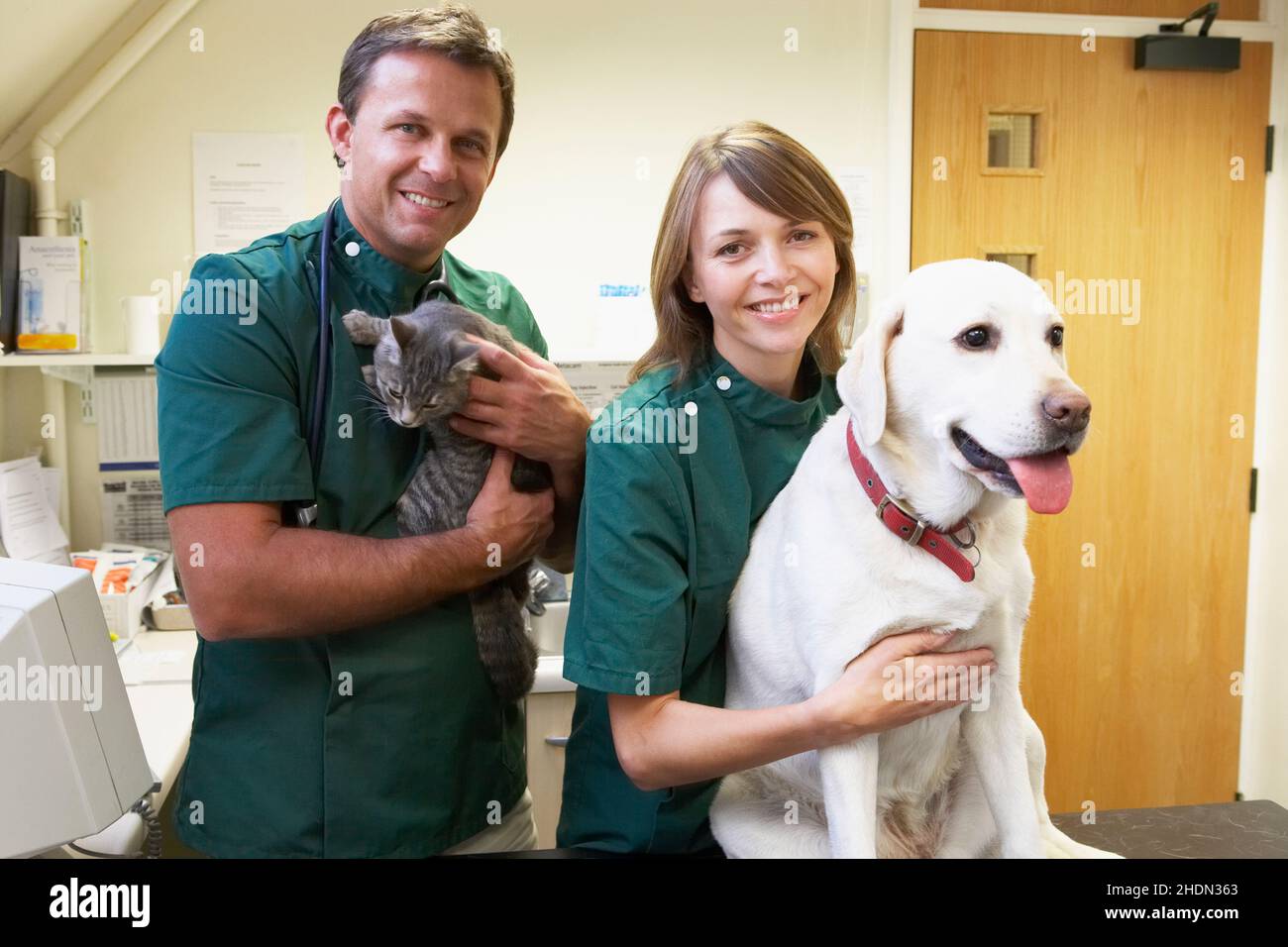 veterinary visit, veterinarian, veterinary visits, veterinarians Stock ...