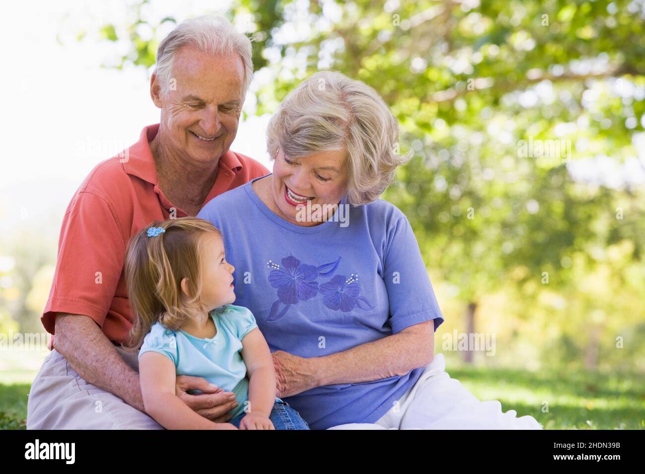 grandparent, generation, grandchild, grandparents, generations ...