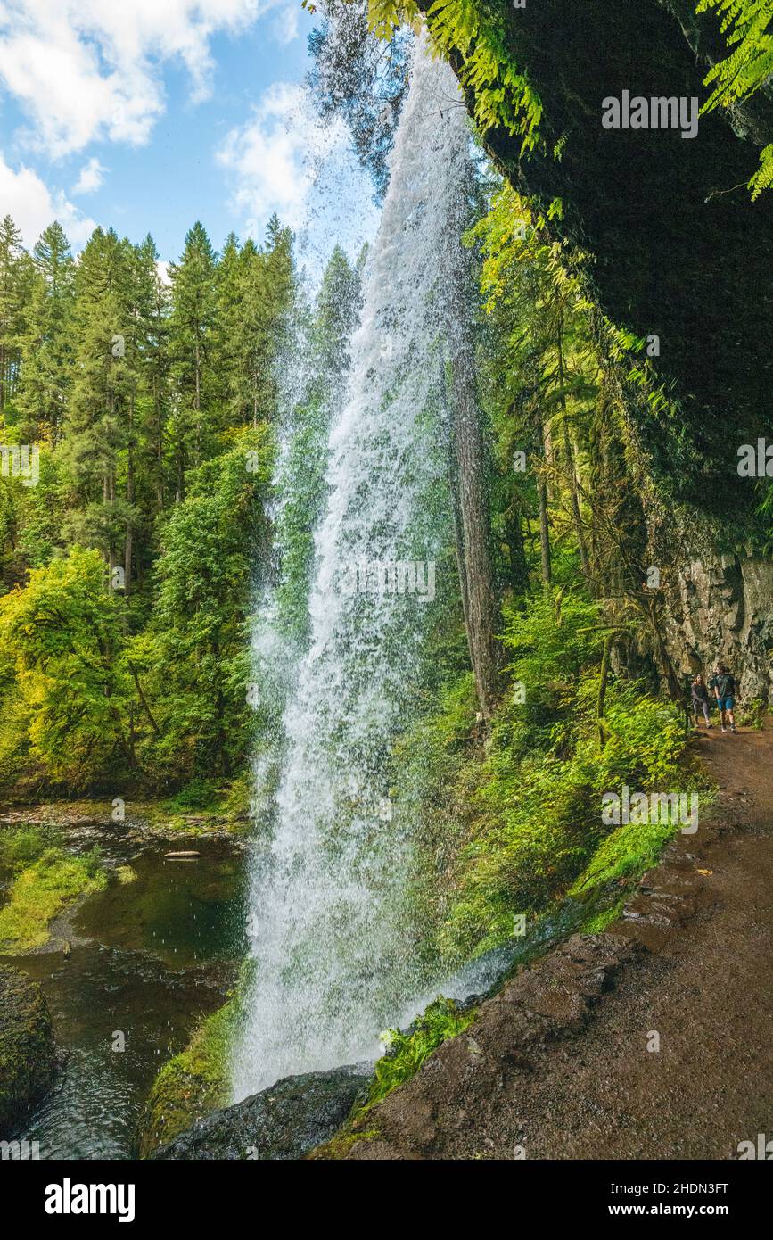 Middle North Falls; Silver Falls State Park; Oregon; USA Stock Photo ...