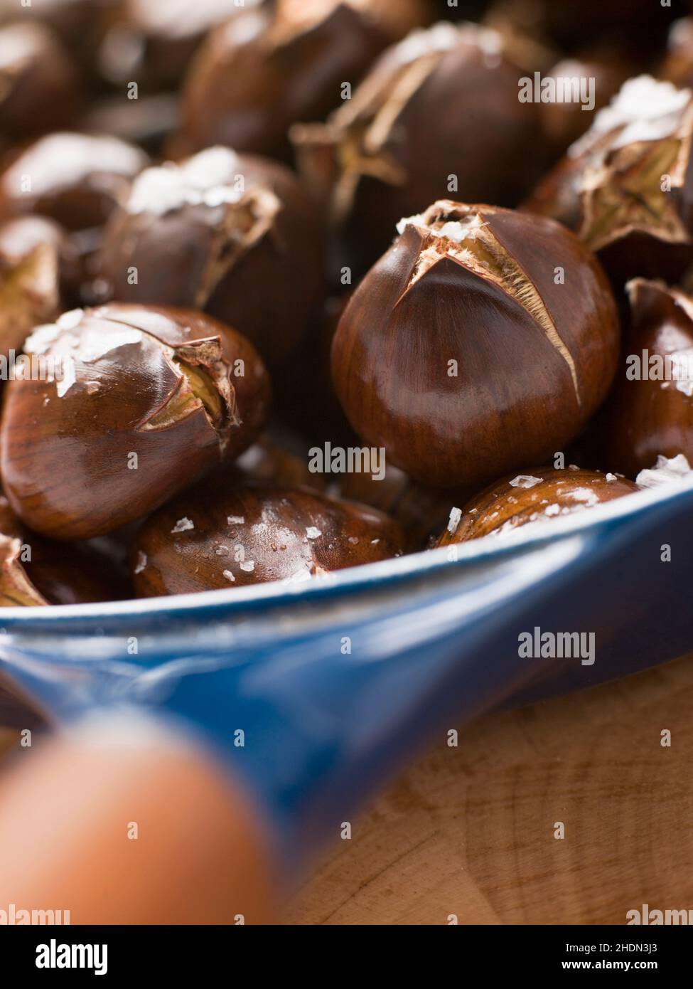 English chestnut hi-res stock photography and images - Alamy