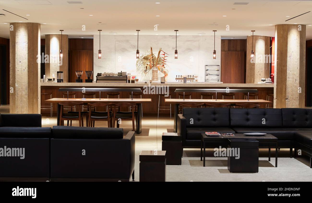 gastronomy, hotel, bar counter, lounge, gastronomies, hotels, bar ...