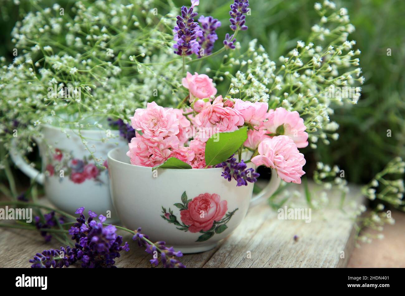 roses, shabby chic, rose Stock Photo - Alamy