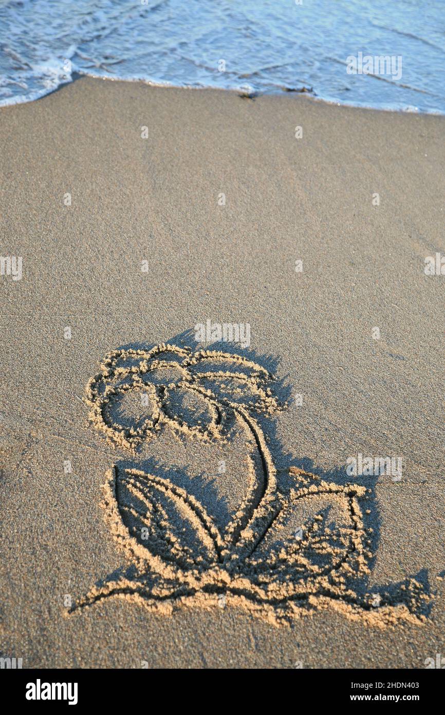 Drawing plants outside hi-res stock photography and images - Alamy