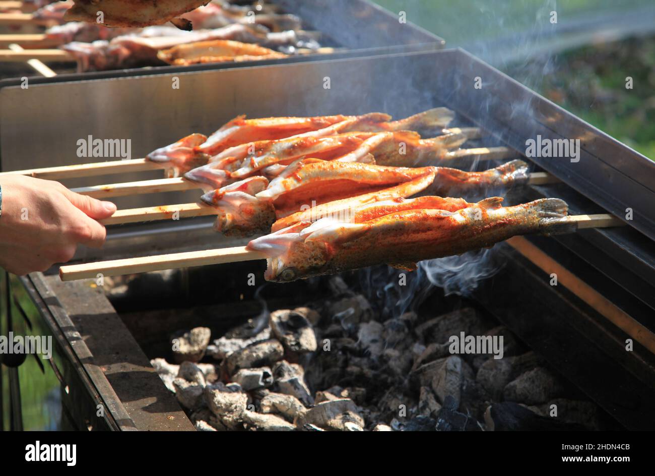 broiling, grilled fish, grilled fishs Stock Photo - Alamy