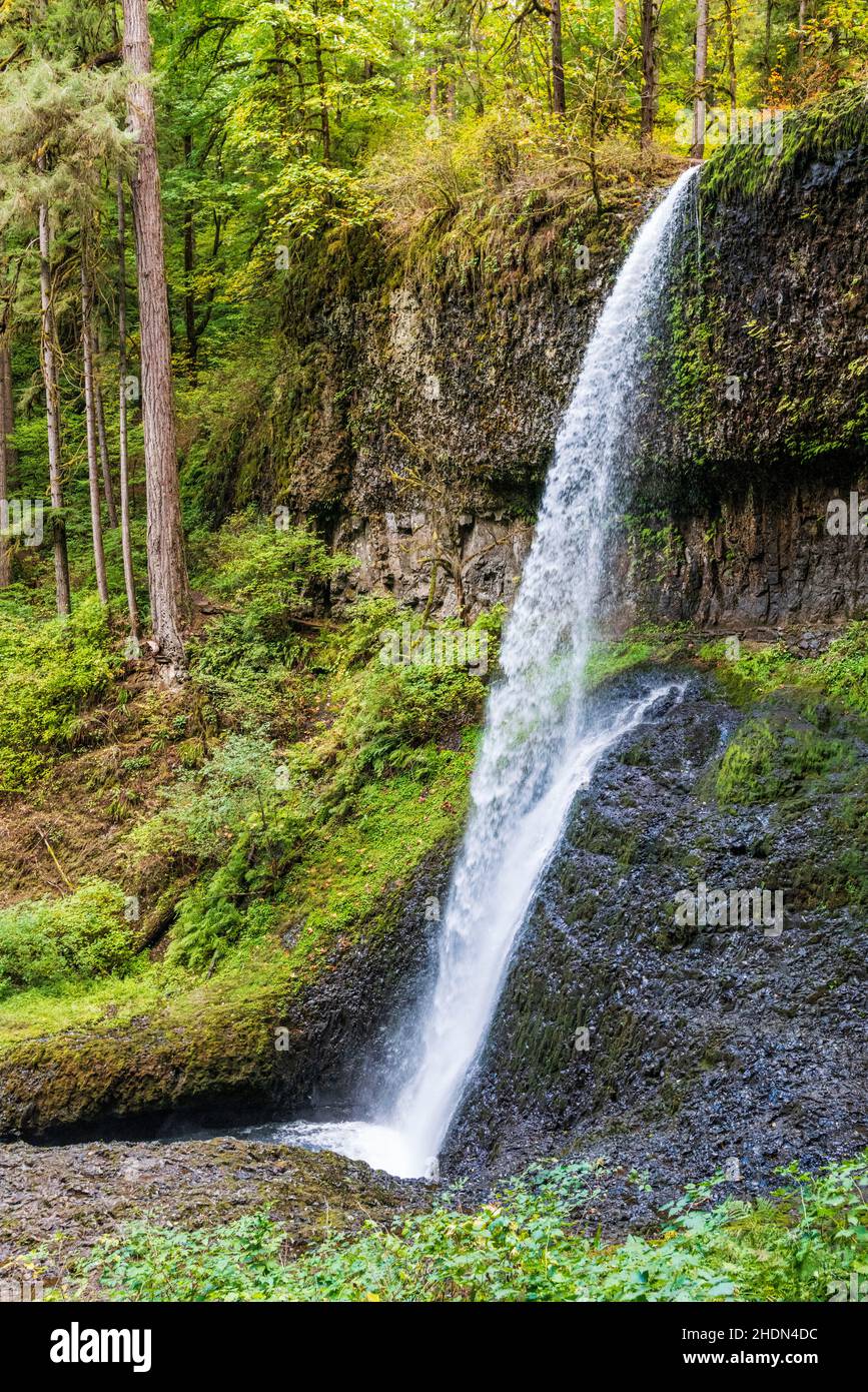 Middle North Falls; Silver Falls State Park; Oregon; USA Stock Photo ...