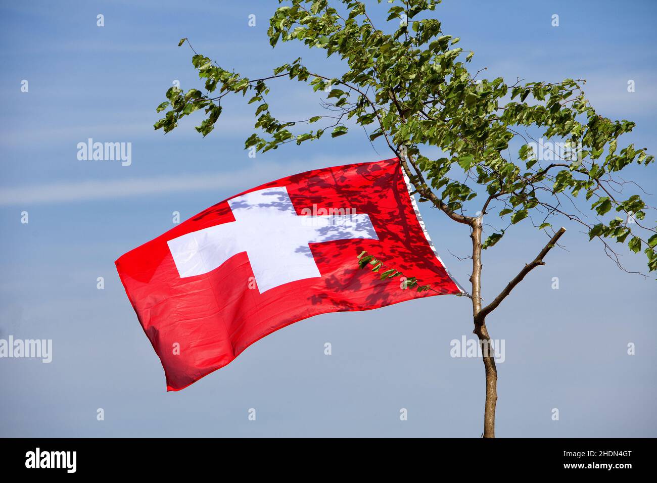 flag of switzerland, flag of switzerlands Stock Photo - Alamy